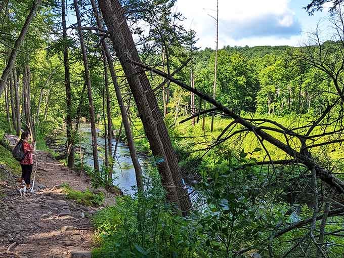 Peaceful trails wind alongside streams where the only traffic jam involves ducks and fallen leaves.