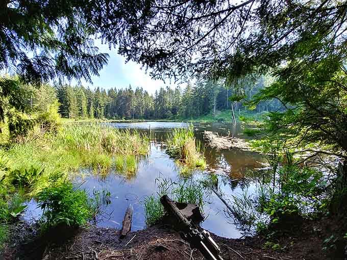 Nature trails and peaceful waters offer the perfect antidote when you need a break from browsing vintage treasures.