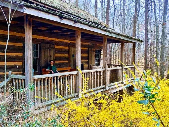 Step back in time at this authentic log cabin where pioneers proved you don't need WiFi to survive.