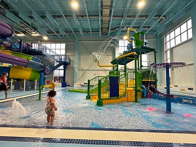 The kiddie area features gentle slides and spray features, giving toddlers their own aquatic kingdom minus the terrifying drops.