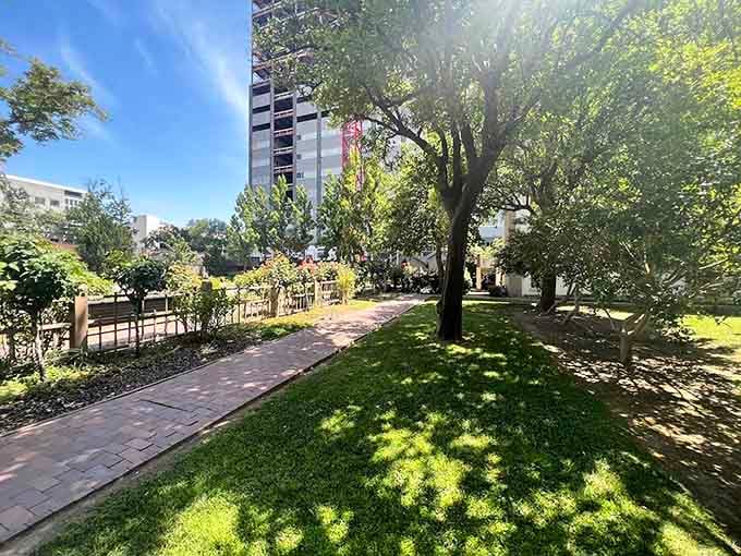 Sunlight filtering through ancient trees onto perfectly maintained grounds feels like nature's own Instagram filter.