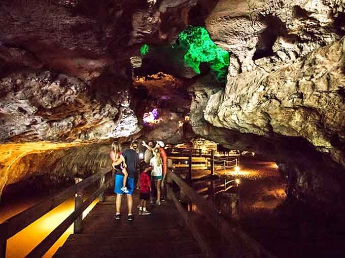 Families discovering that the best adventures don't require passports, just curiosity and comfortable footwear.