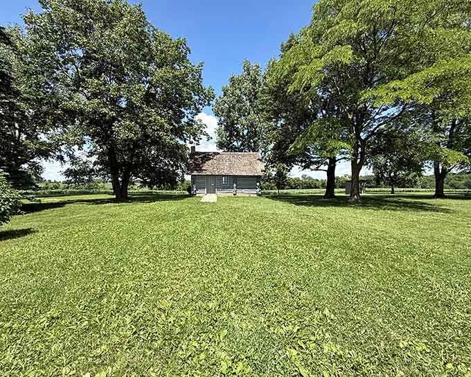 A little cabin nestled under towering oaks offers the kind of peaceful retreat that makes you reconsider your entire life plan.