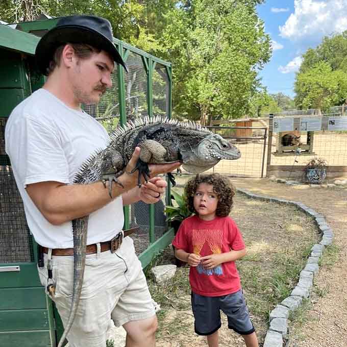 Meeting creatures that belong in nature documentaries, right here in your own Texas backyard. Mind-blowing stuff.