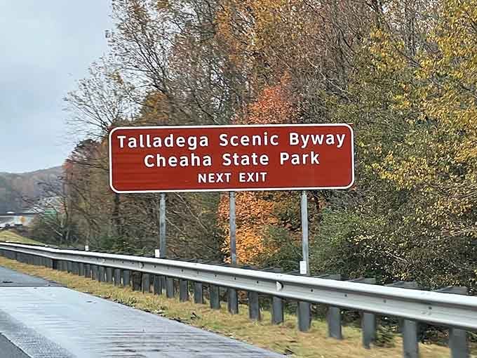 Even the highway signs here seem friendlier, like they're genuinely excited to show you what's coming next on this journey.