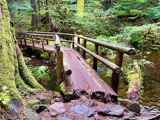This moss-covered footbridge looks straight out of a fantasy novel where hobbits might appear any second.