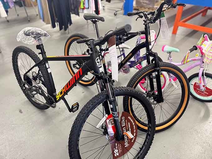 Kids' bikes ready to create summer memories without requiring you to take out a small loan.