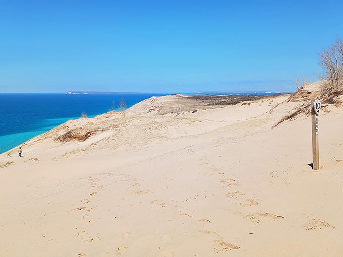 Lake Michigan spreads out like a postcard that forgot to tell you about the climb required.