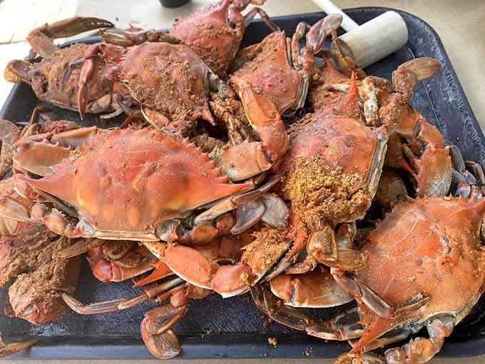 Behold the glorious pile of steamed crabs that will test your patience, dexterity, and commitment to deliciousness.