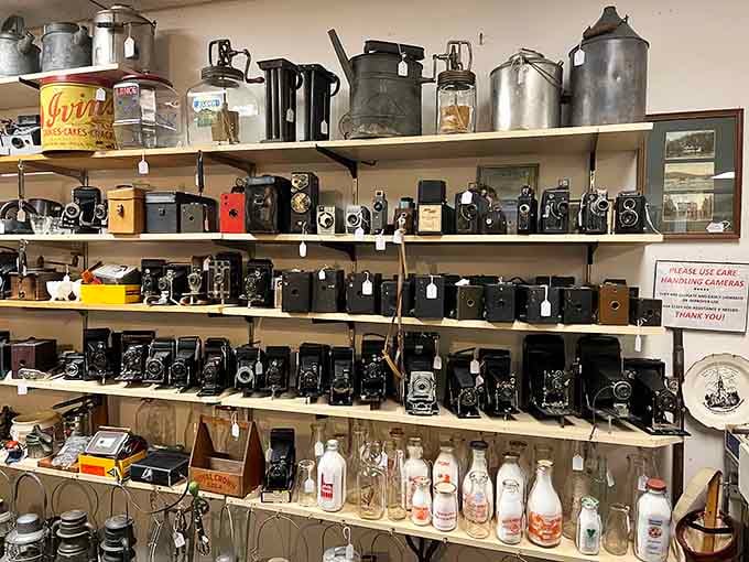 A wall of vintage cameras that captured memories long before smartphones ruined everything with filters.