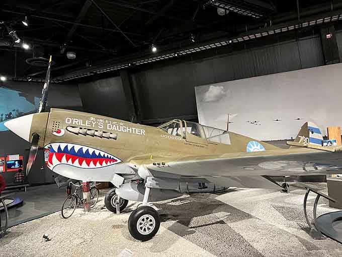 The P-40 Warhawk's shark teeth grin still looks intimidating, even when it's safely grounded in a museum.