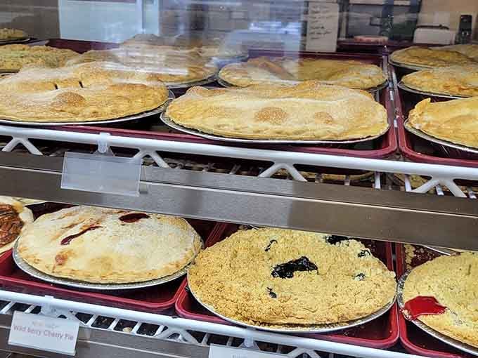 Golden crusts and bubbling fruit filling lined up like edible soldiers ready to make your day infinitely better.