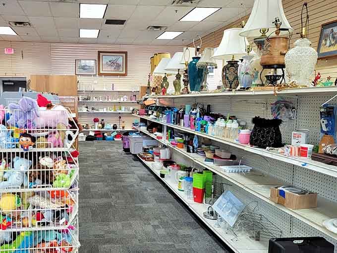 From lamps to lotions, this aisle proves one person's spring cleaning is another's shopping spree.