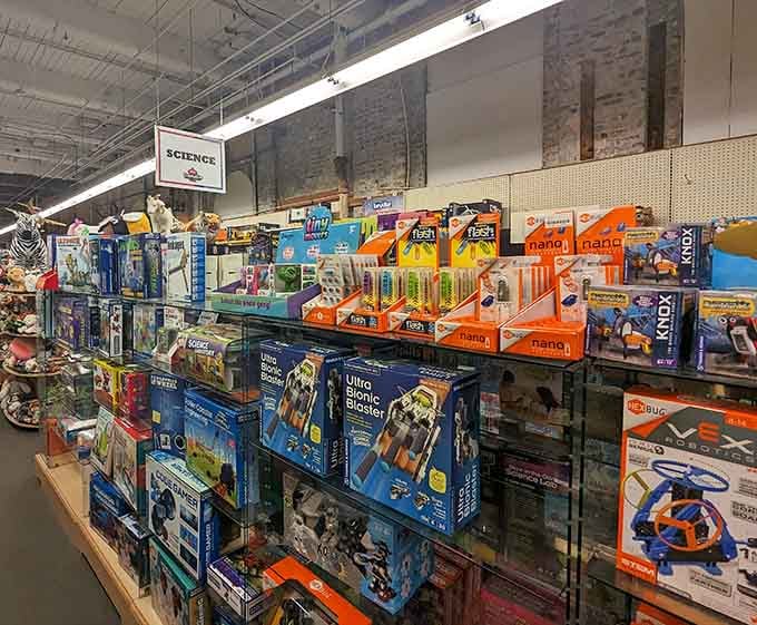 Science kits that actually make learning fun? Your inner Bill Nye is doing cartwheels right now.