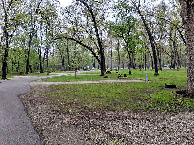 Camping spots where your neighbors are trees instead of people who play music at midnight.