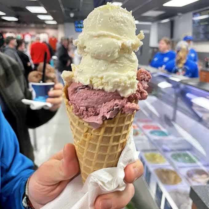 Two generous scoops tower precariously on a waffle cone, defying gravity and common sense in equal measure.