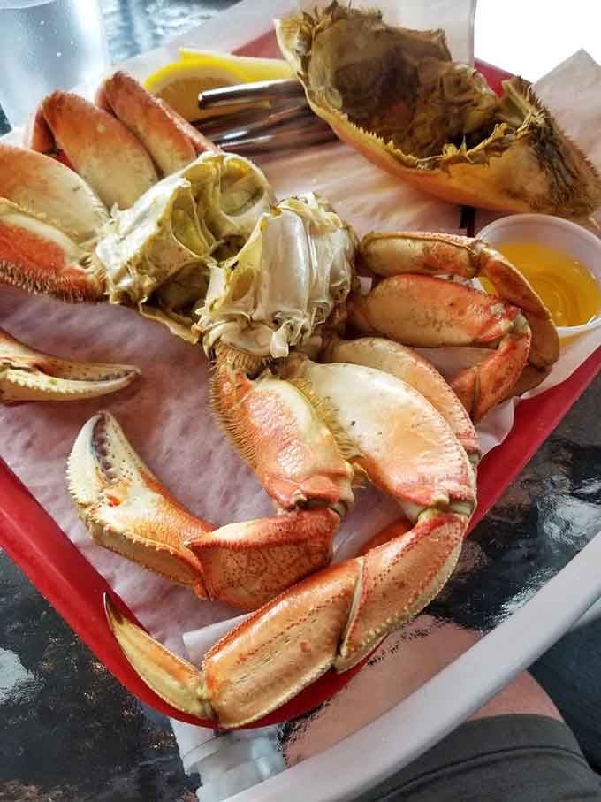 Dungeness crab so fresh it practically waved hello this morning, served simply with melted butter perfection.