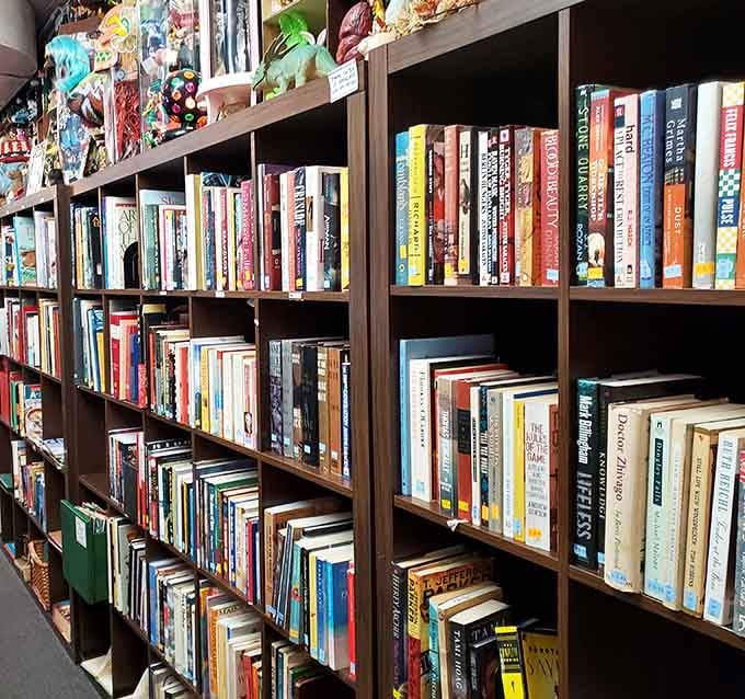 Books organized better than most people's lives, waiting to cost less than your morning coffee.