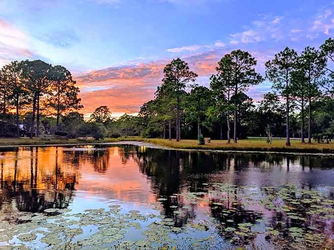 Golden light transforms the landscape into something that belongs on a postcard you'd actually want to send.