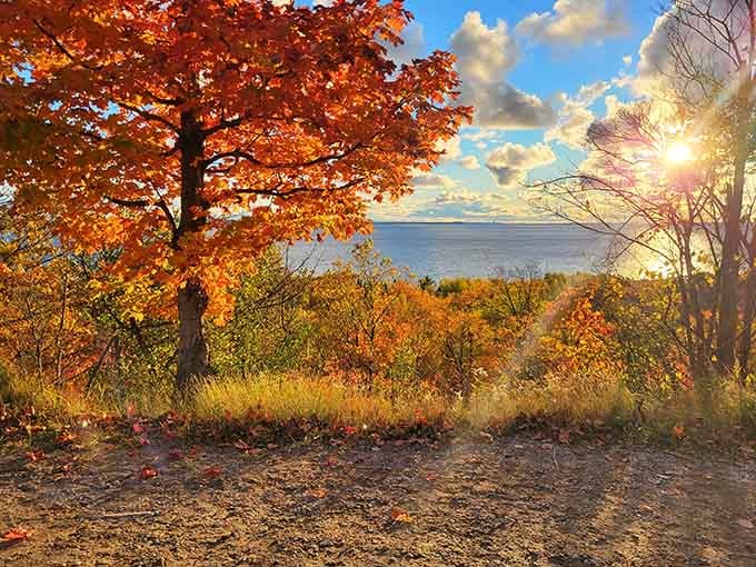 That moment when Lake Michigan photobombs your forest drive in the most spectacular way possible.