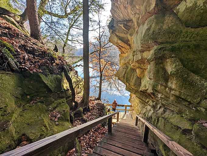 These wooden steps descend into geological history, each layer of rock telling stories from millions of years ago.