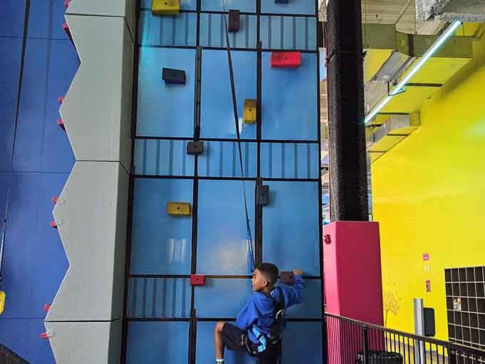 Scaling walls used to require actual mountains; now it just requires courage and a willingness to discover leg muscles.