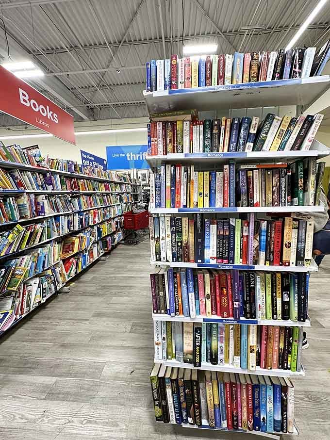 Entire libraries worth of stories waiting on these shelves, each spine holding someone's former favorite escape from reality.