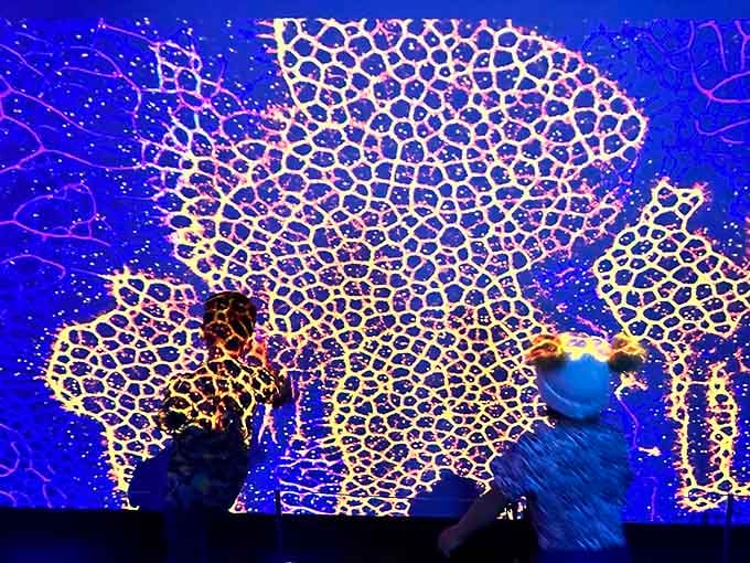 Interactive projections turn ordinary walls into living canvases, proving that sometimes the best art talks back to you.