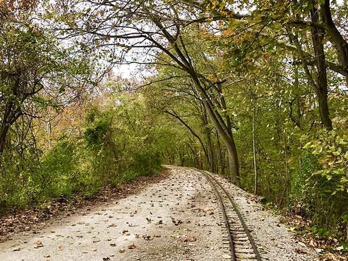 The tracks disappear into autumn woods, promising a journey that feels worlds away from suburban St. Louis.