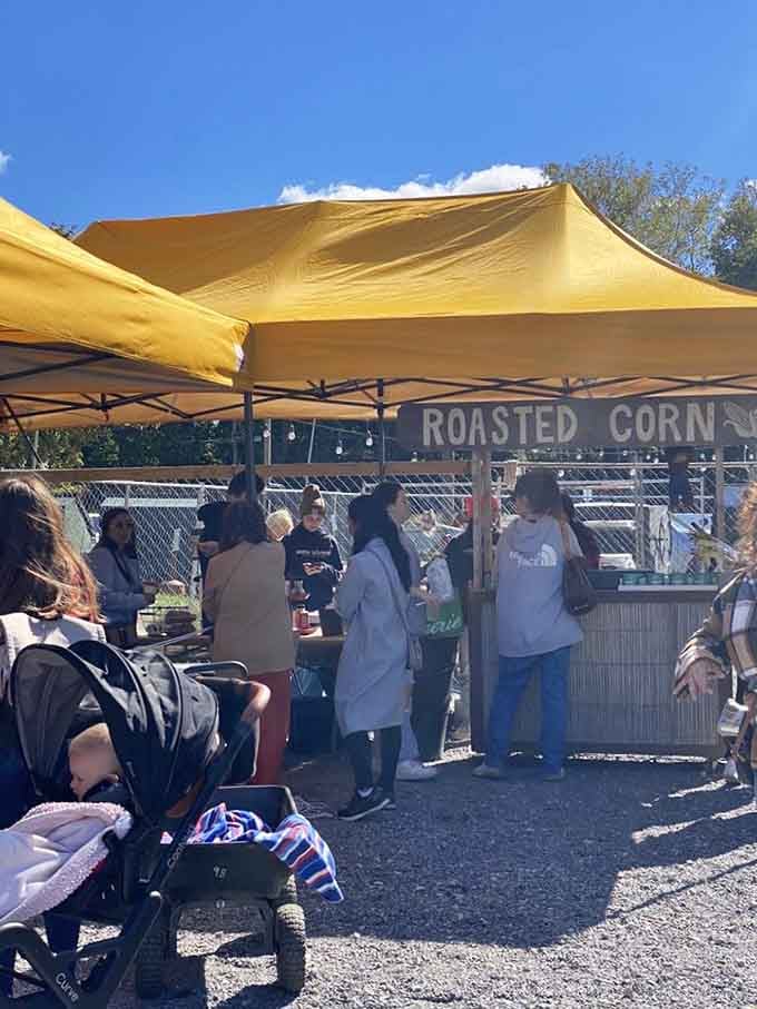 Fresh roasted corn: because sometimes the best farm experiences involve butter running down your chin unapologetically.