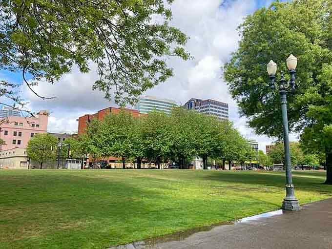 Green lawns stretch toward the skyline, offering the perfect spot for picnics with a metropolitan backdrop.