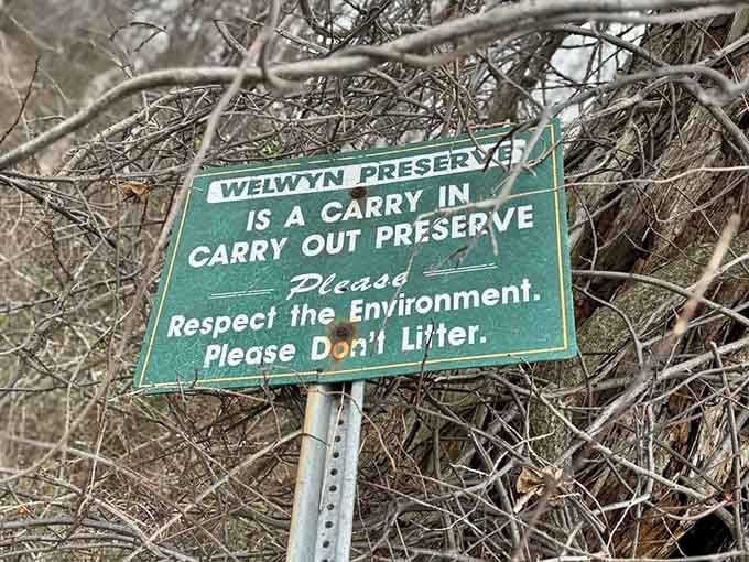 That vintage sign humor hits different when you're actually standing in nature's living room, doesn't it?