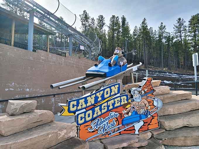 Canyon Coaster's alpine slide promises thrills against a backdrop of ponderosa pines, because apparently some people need more excitement than just breathing mountain air.