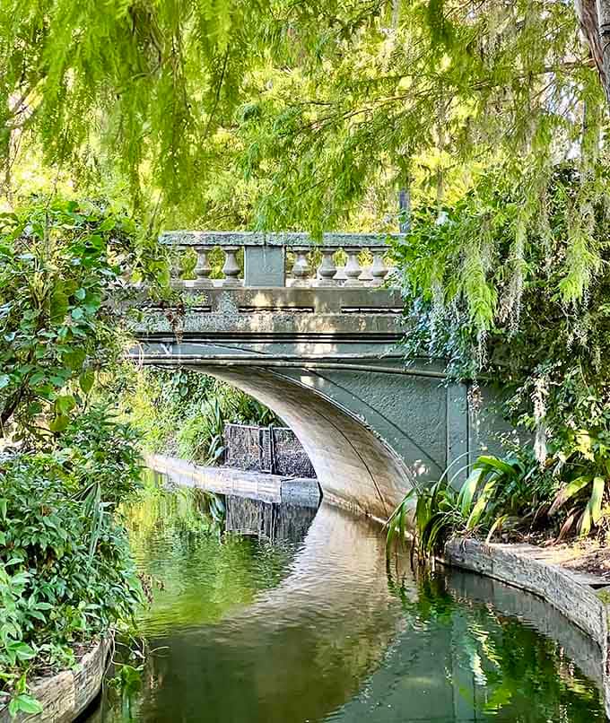 That moment when you realize a bridge can be both functional and absolutely Instagram-worthy at once.