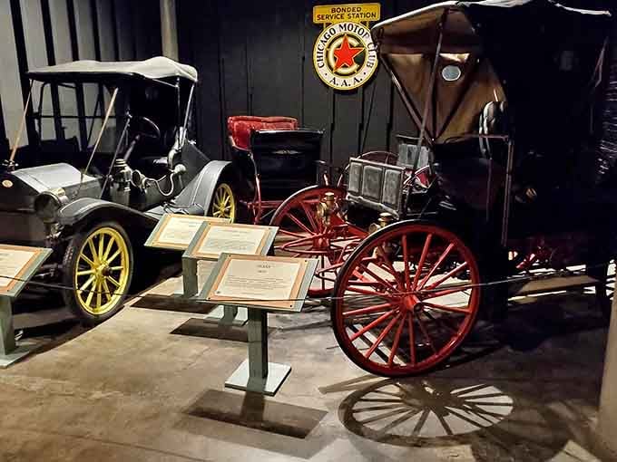 Before horsepower meant engines, it actually meant horses, and these beauties remind us where it all began.