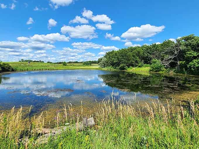 Mother Nature showing off with mirror-perfect reflections that make you forget you're still in Illinois, not some exotic locale.