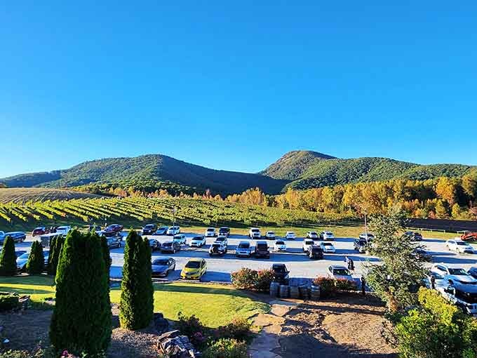 When the parking lot is this full, you know you've found something special worth the drive.