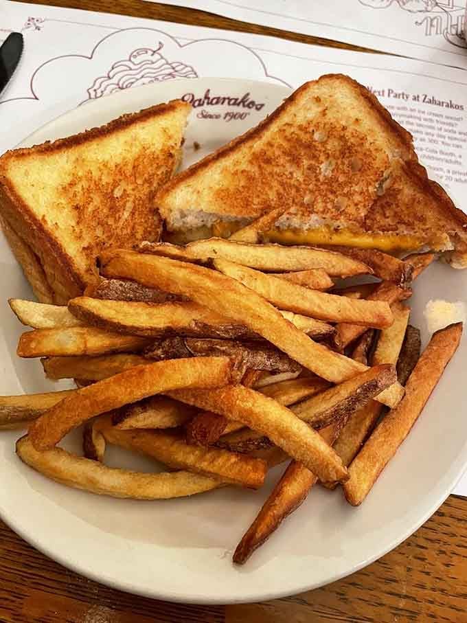 Golden grilled cheese with crispy fries proves that sometimes the simplest pleasures are the most satisfying comfort foods around.