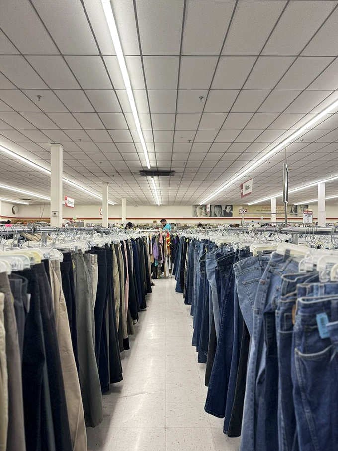 Denim for days! This jean collection could outfit every cowboy from here to Cheyenne without breaking a sweat.