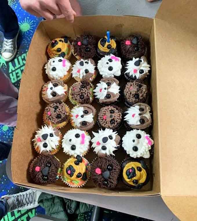 These adorable puppy cupcakes prove that playing with your food is not only acceptable but highly encouraged here.