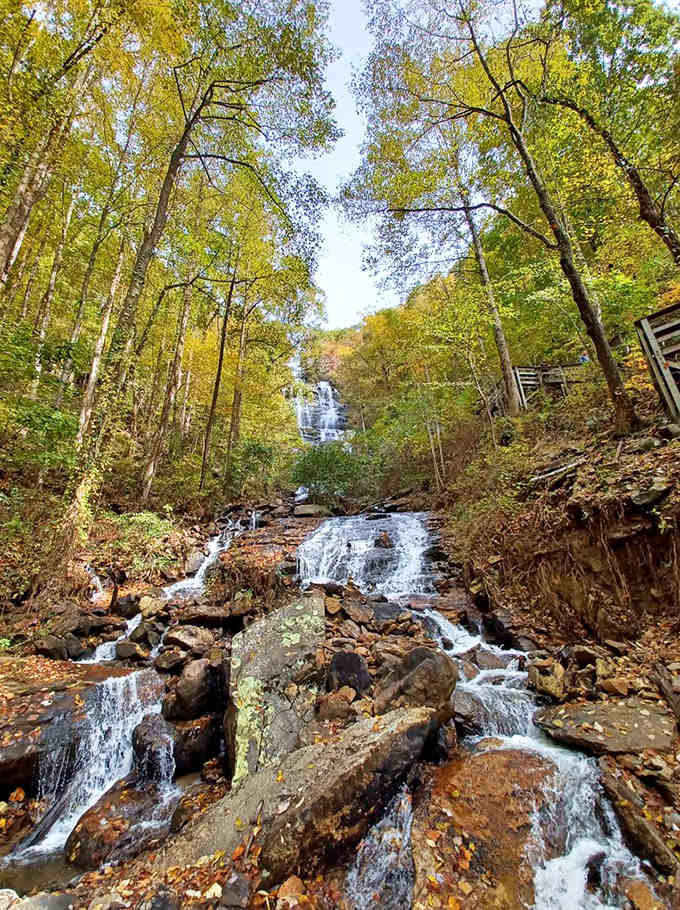 Autumn leaves frame the cascading water as it tumbles down through moss-covered rocks and fallen timber.