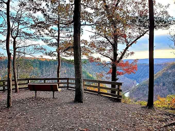 Two benches overlook endless mountain ridges, offering front-row seats to what might be Pennsylvania's most spectacular natural theater.
