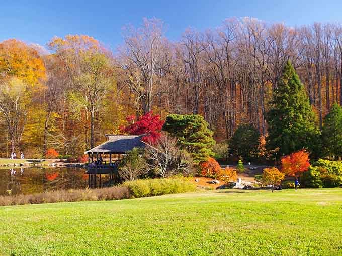 Autumn paints this garden in colors so vivid, Bob Ross would need extra brushes to capture it all.