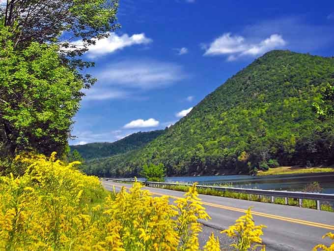 Golden wildflowers frame this mountain highway where summer stretches out beneath impossibly blue skies and puffy clouds.