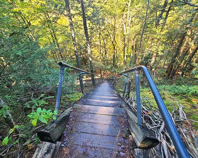 This rustic bridge with its twisted branch railings looks like something hobbits built on their day off.