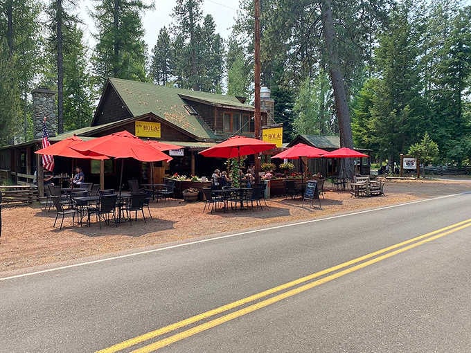 Red umbrellas dot the roadside dining area, inviting travelers to pause among the towering pines.