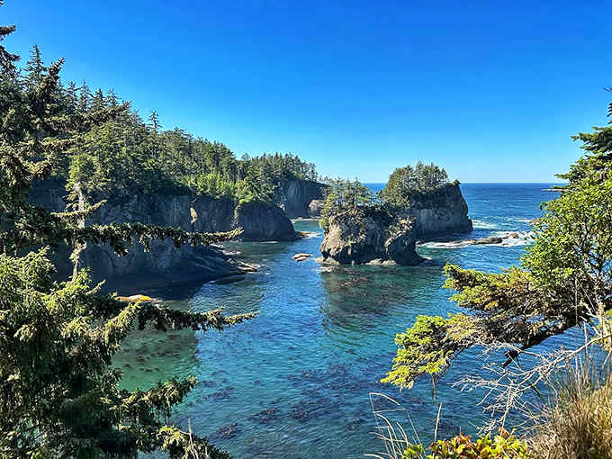 Sea stacks rise from sapphire waters like nature's own chess pieces guarding the Pacific coastline beautifully.