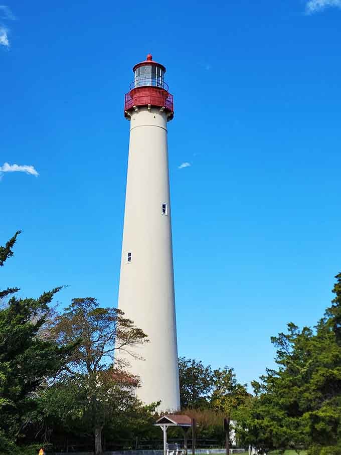 Surrounded by windswept trees, this graceful lighthouse has been pointing sailors homeward for generations of Jersey families.