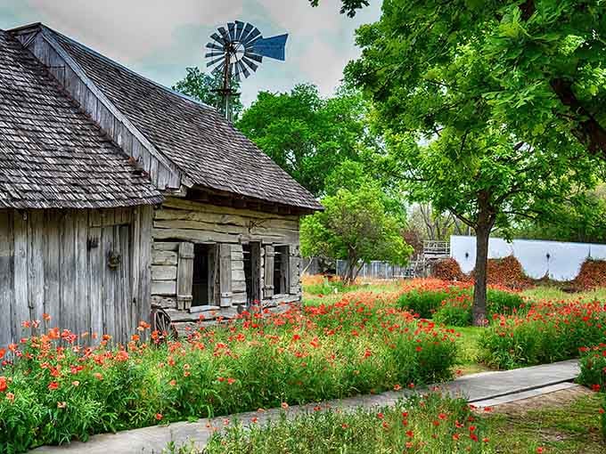 Wildflowers frame this weathered barn like nature's own postcard from the German countryside back home.