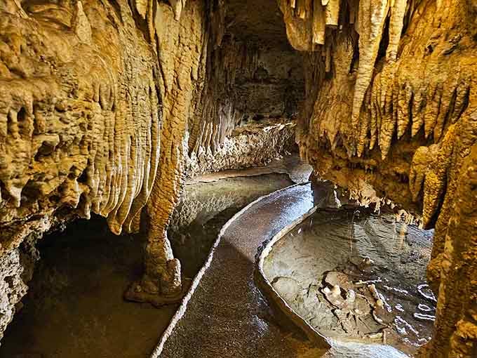 Nature's underground ballroom features stalactites hanging like chandeliers carved by patient water over countless centuries.